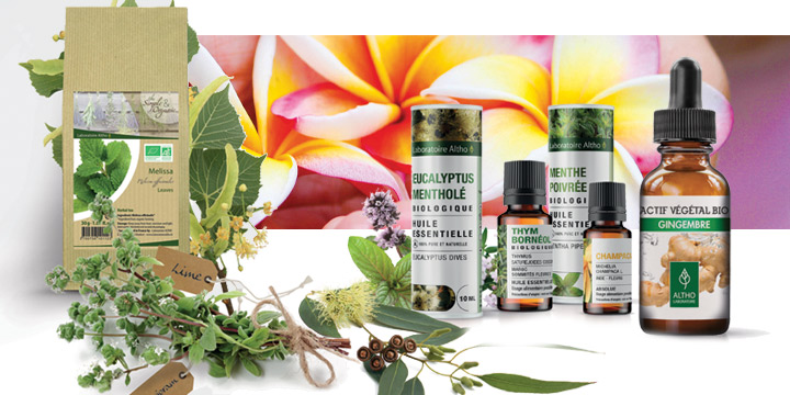 BIS - Prodotti bio per rivenditori - Bio Import Service